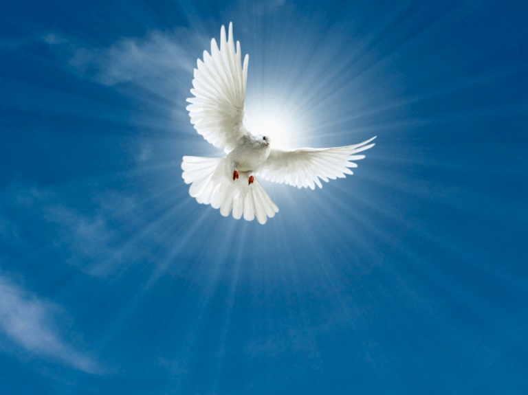 Leuchttürme für den Frieden und die Liebe sein – PURE DIVINE LIGHT