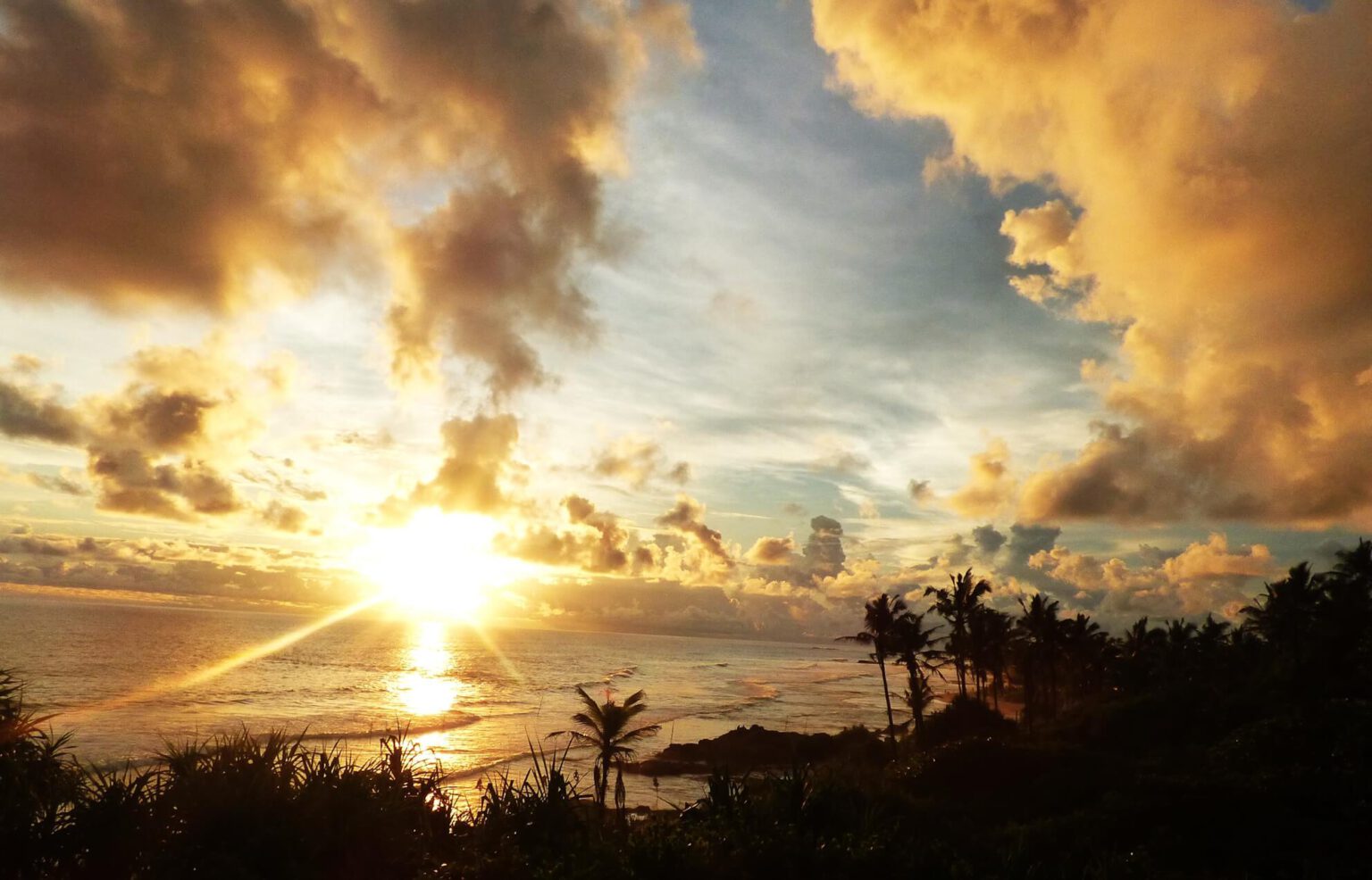 Es ist soweit! – PURE DIVINE LIGHT